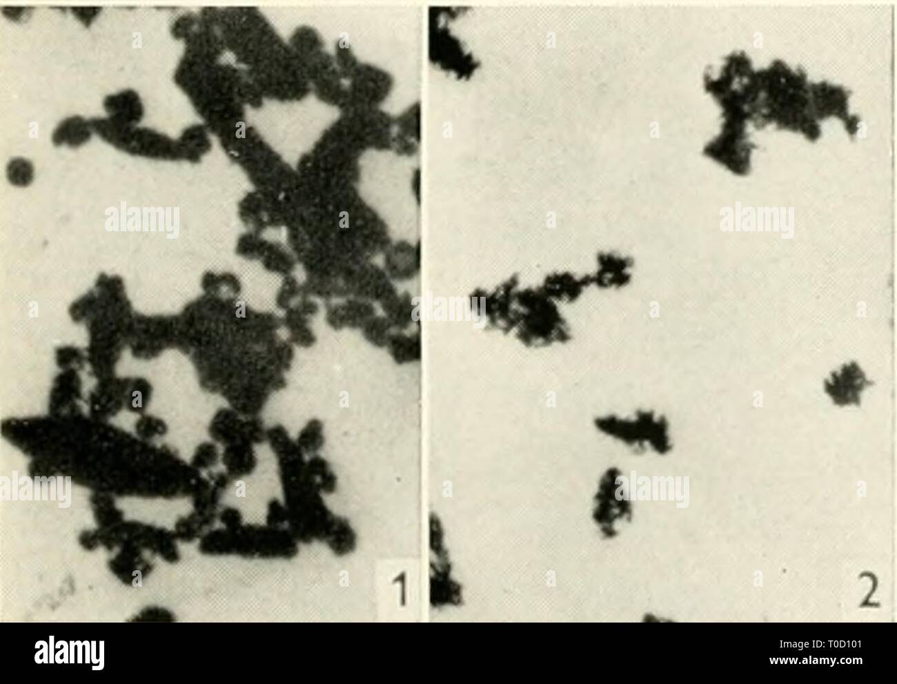 Electron microscopy; proceedings of the Electron microscopy ...