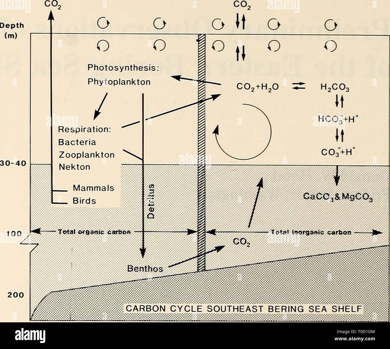 The Eastern Bering Sea Shelf Stock Photo - Alamy