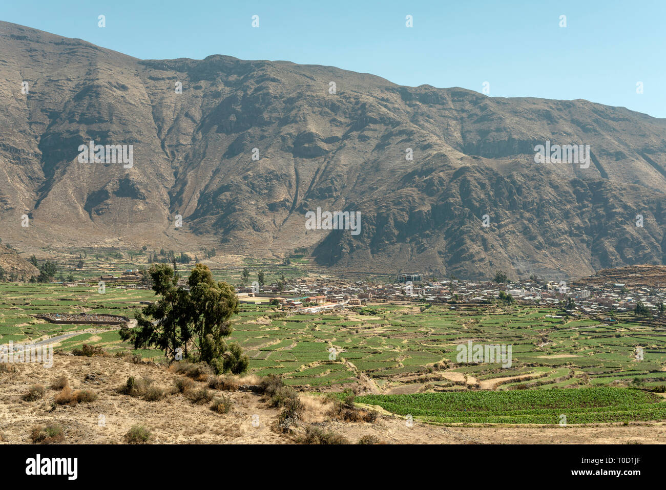 Green terraced fields hi-res stock photography and images - Alamy