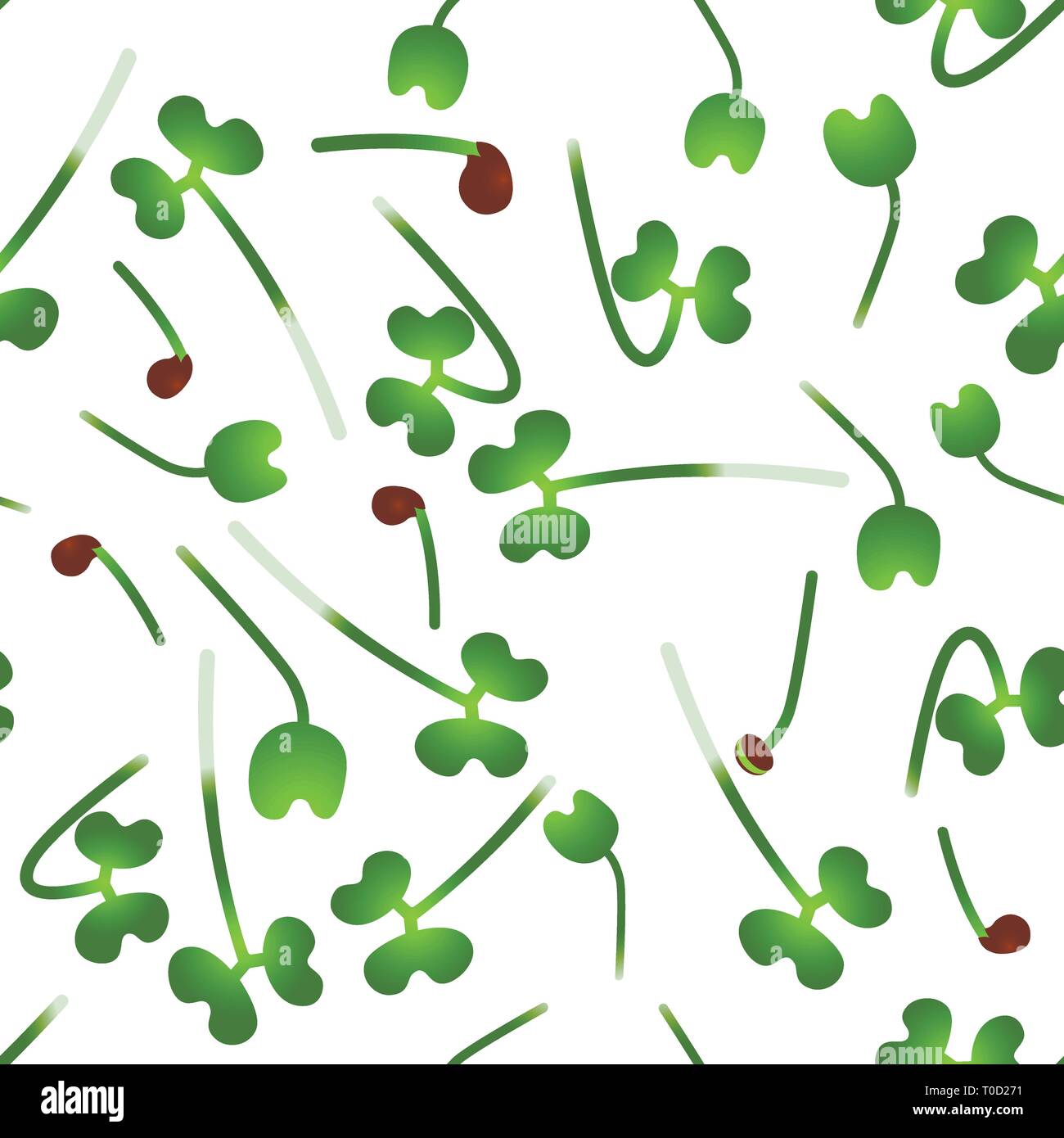 Microgreens Chinese Cabbage. Sprouting seeds of a plant. Seamless ...