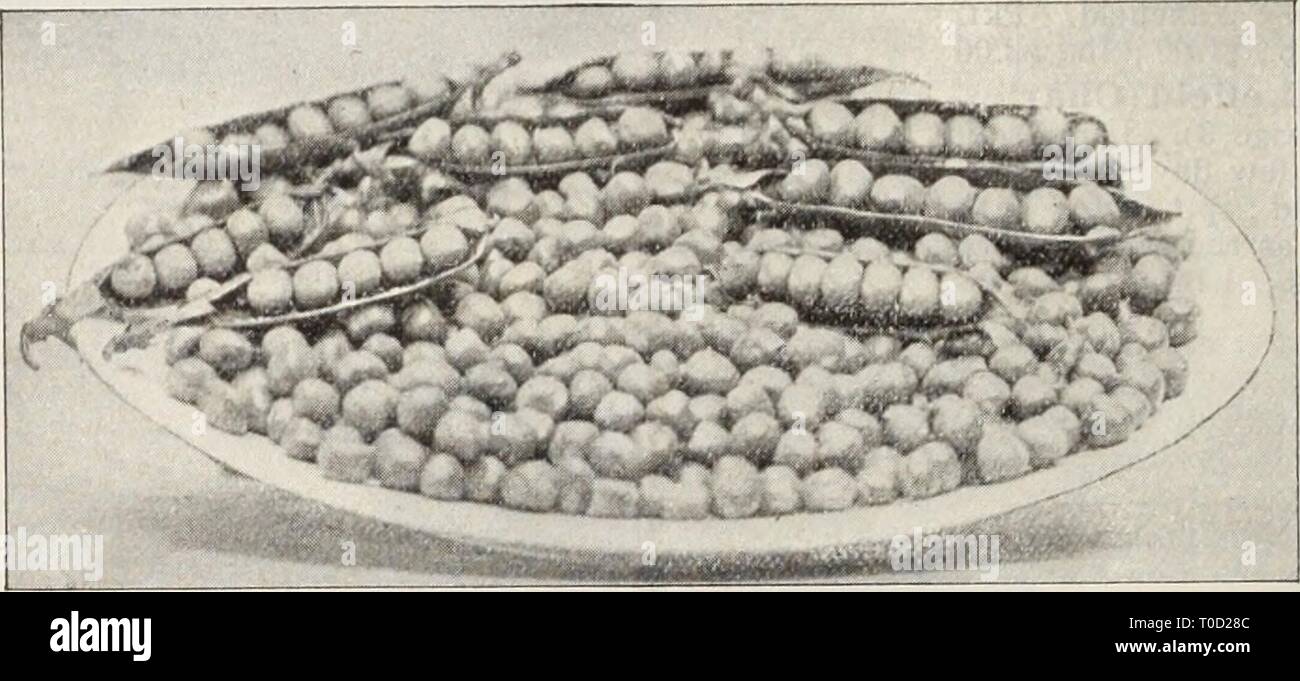 New early pea prosperity hi-res stock photography and images - Alamy