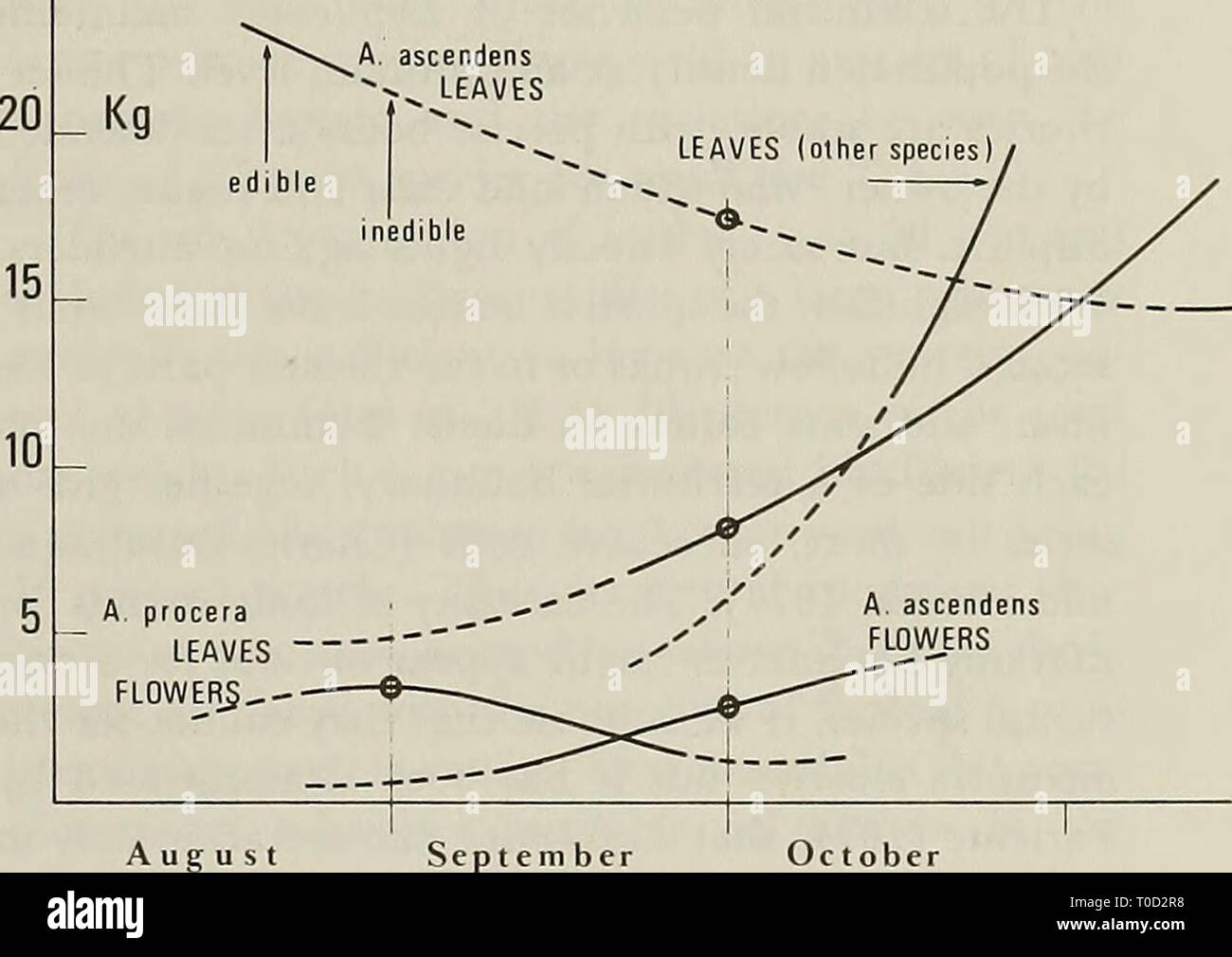 The Ecology of arboreal folivores Stock Photo - Alamy