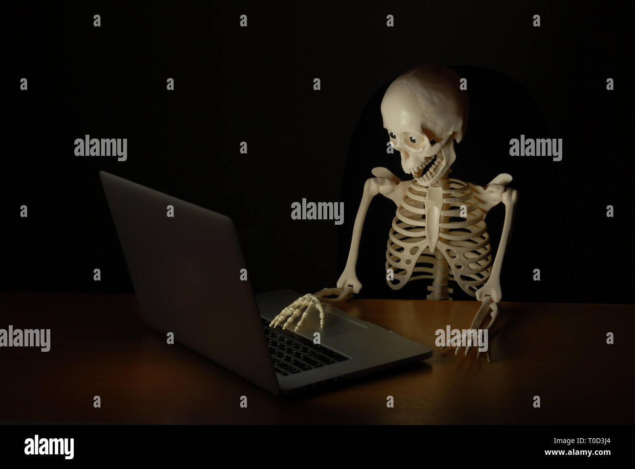 Skeleton at computer hi-res stock photography and images - Alamy