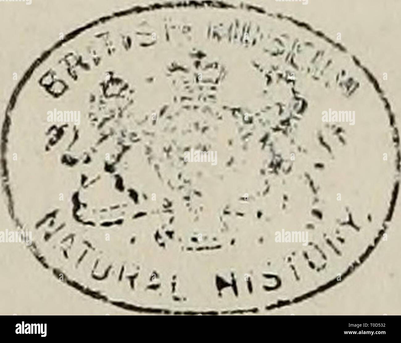 Edinburgh encyclopedia 1830 hi-res stock photography and images - Alamy