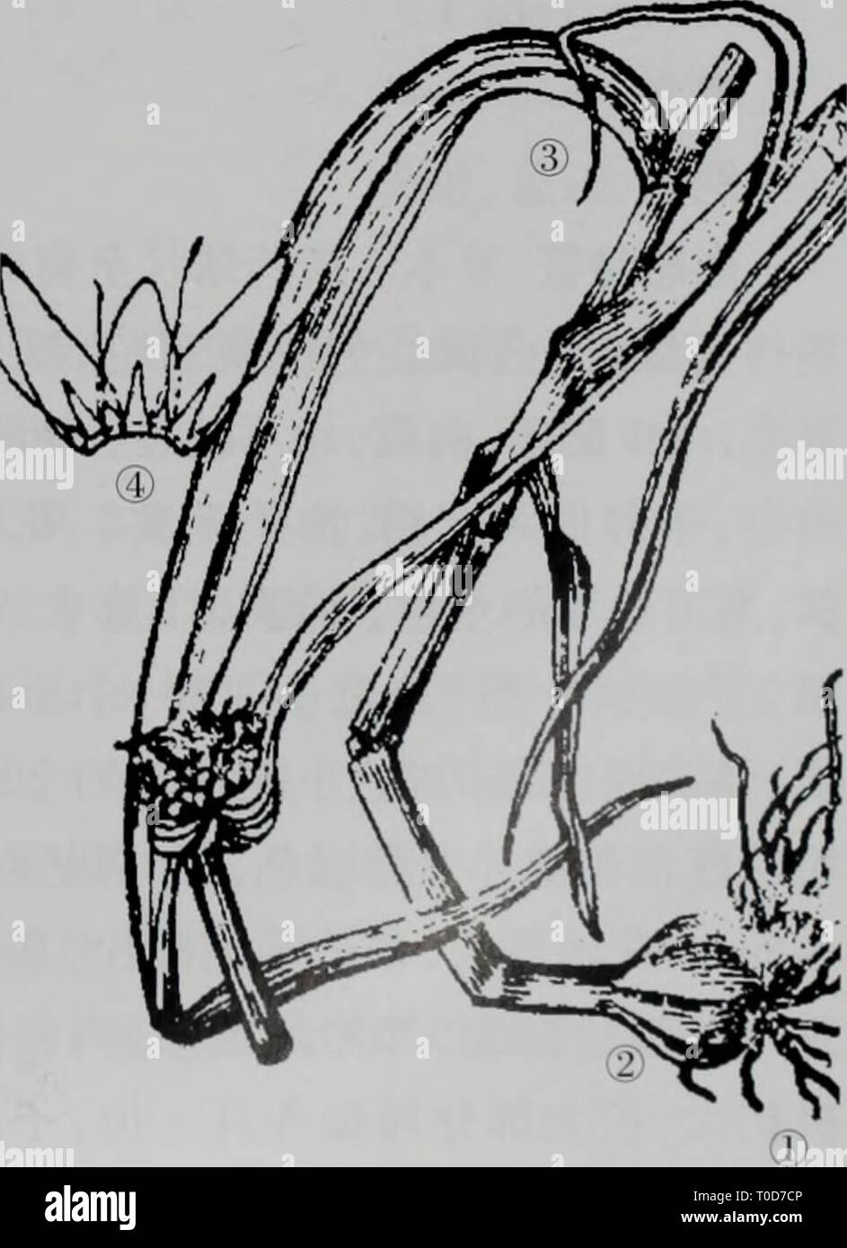 e er duo si zhi e er duo si zhi wu zhi eerduosizhiwuzhi02wuji Year ...