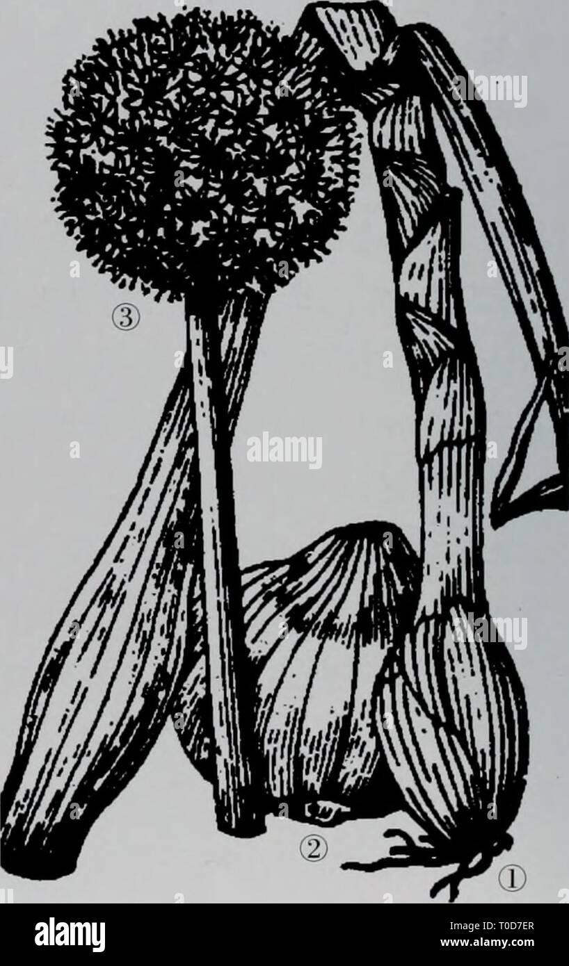 e er duo si zhi e er duo si zhi wu zhi eerduosizhiwuzhi02wuji Year ...