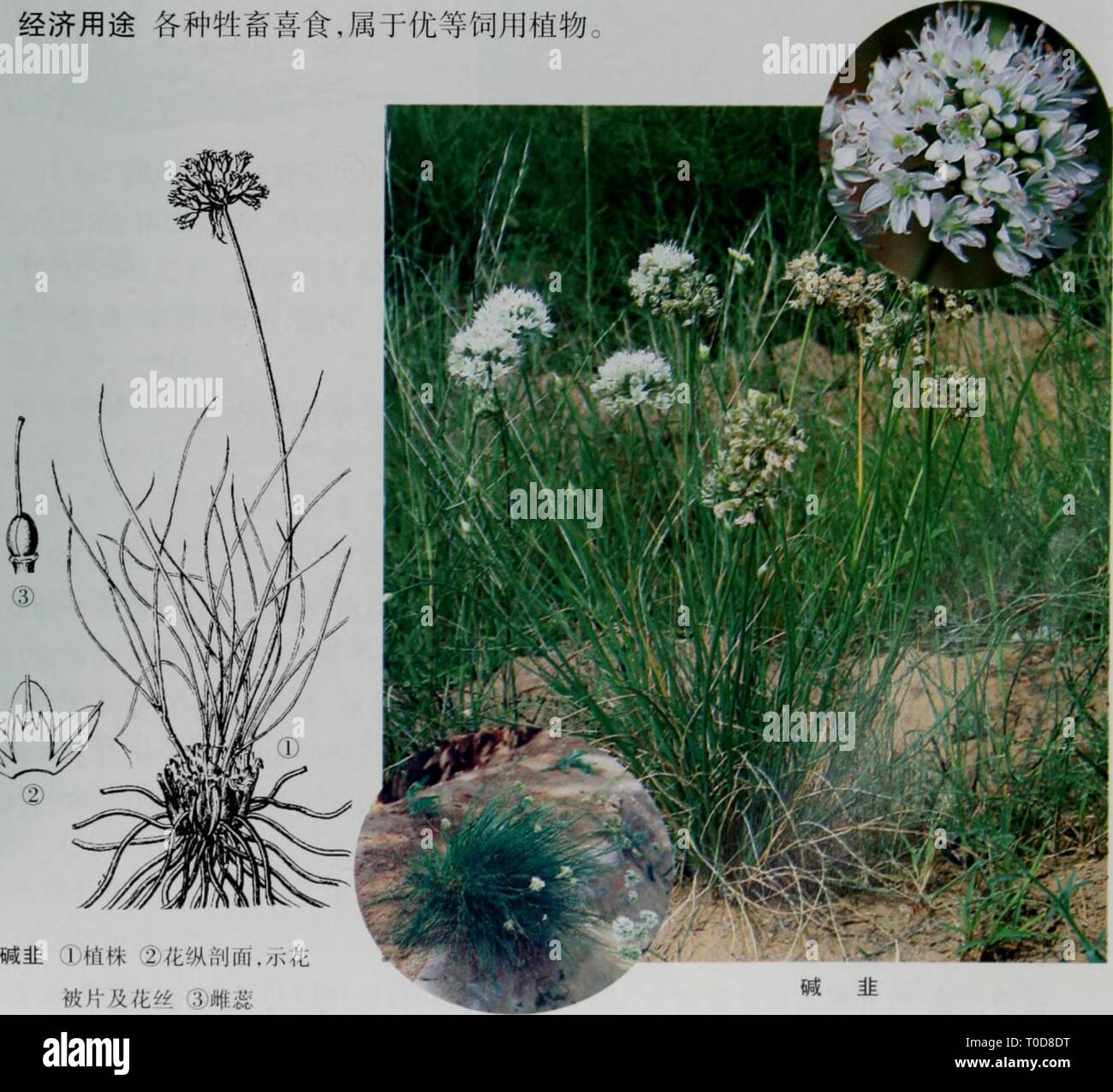 e er duo si zhi e er duo si zhi wu zhi eerduosizhiwuzhi02wuji Year ...