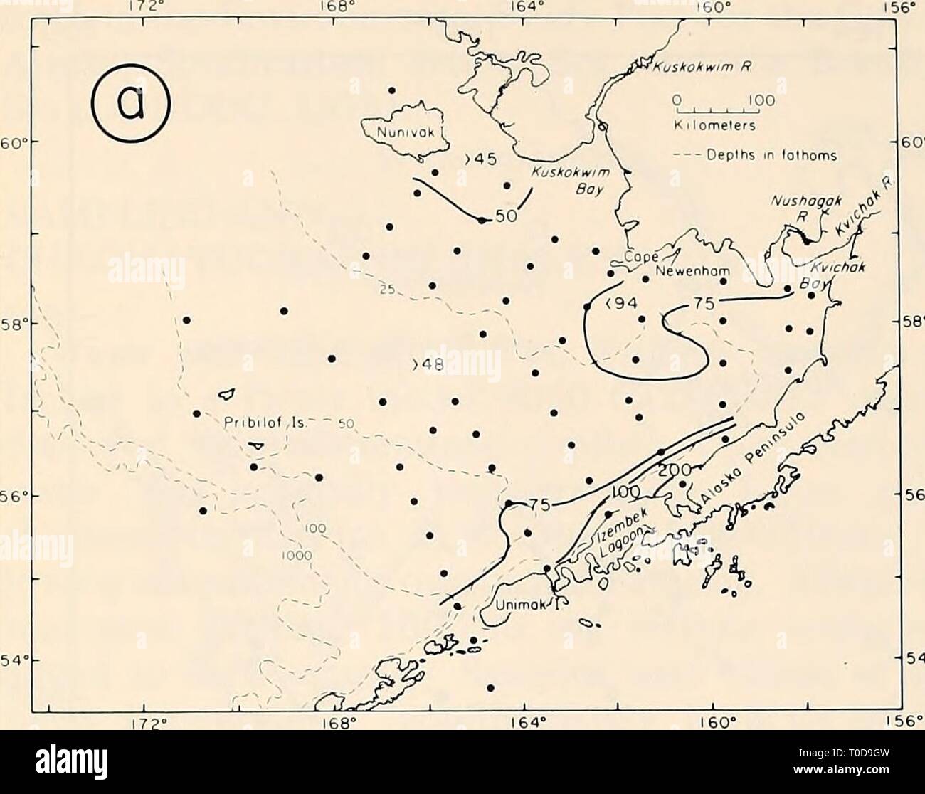 The Eastern Bering Sea Shelf Stock Photo - Alamy