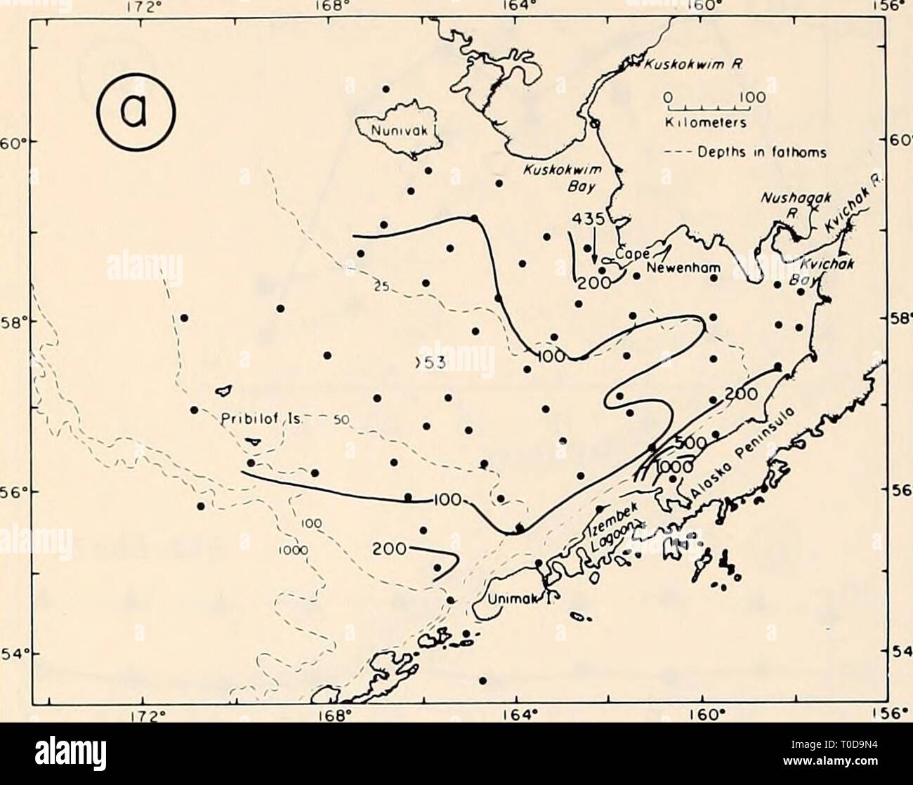 The Eastern Bering Sea Shelf Stock Photo - Alamy