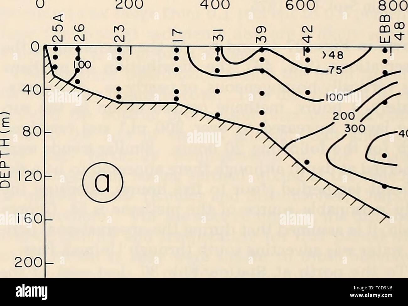 The Eastern Bering Sea Shelf Stock Photo - Alamy
