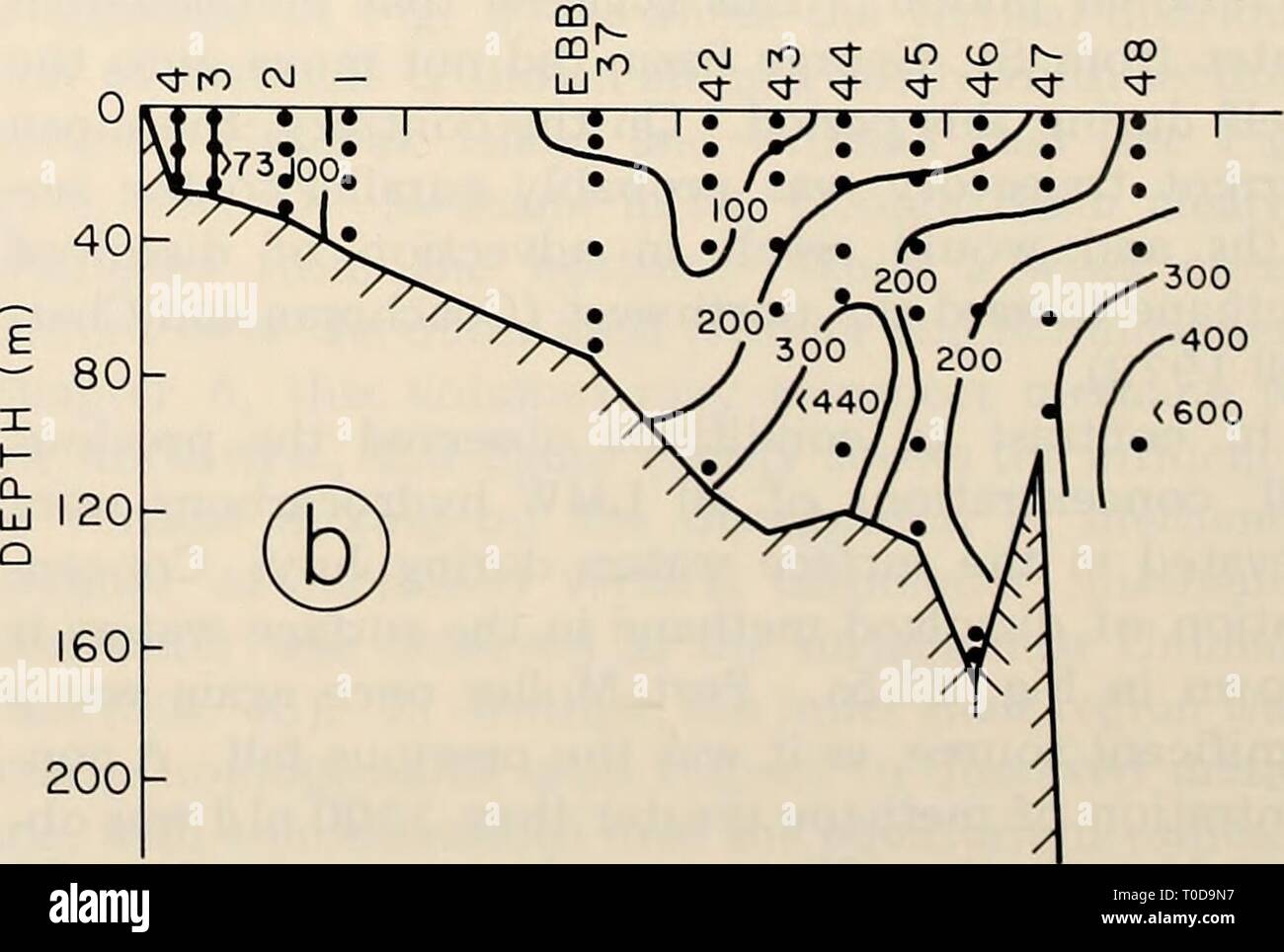 The Eastern Bering Sea Shelf Stock Photo - Alamy