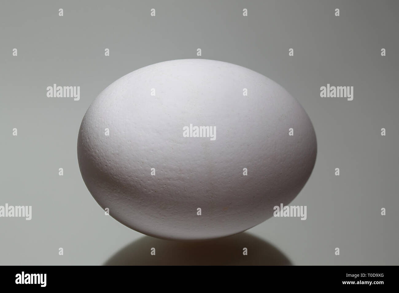 Shape of chicken egg Stock Photo - Alamy
