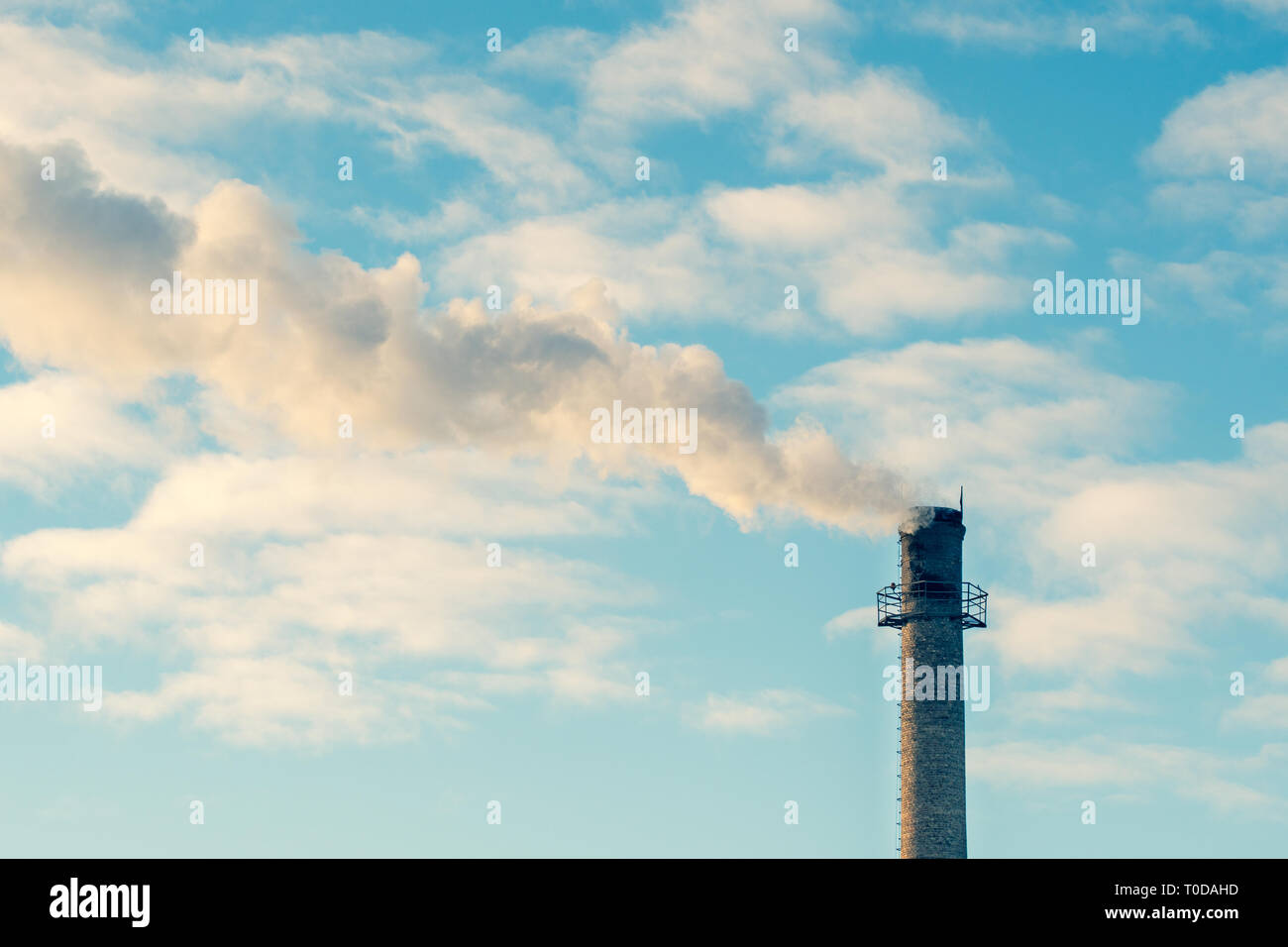 Smoking pipe heating plant hi-res stock photography and images - Alamy