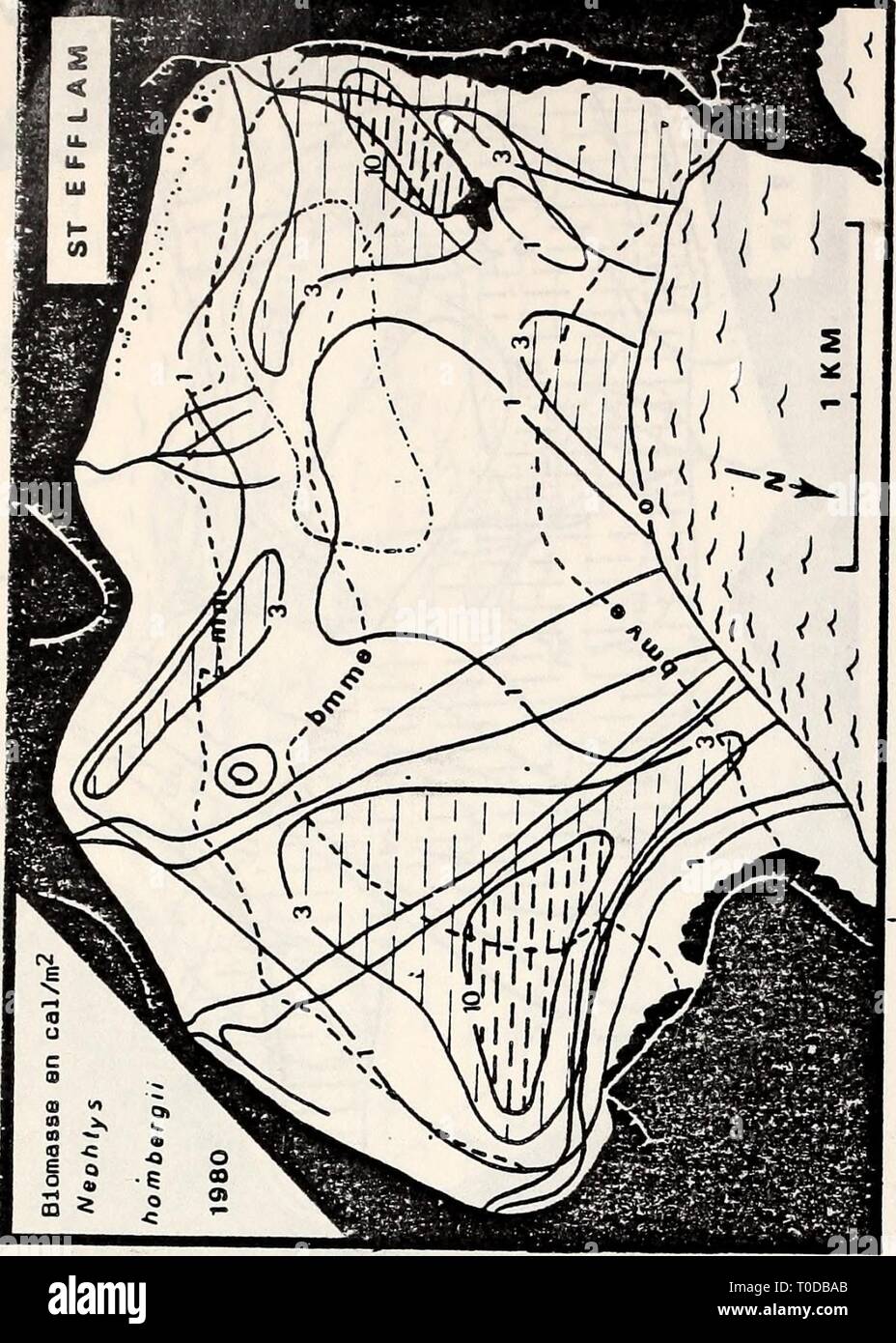 Ecological study of the Amoco Stock Photo - Alamy
