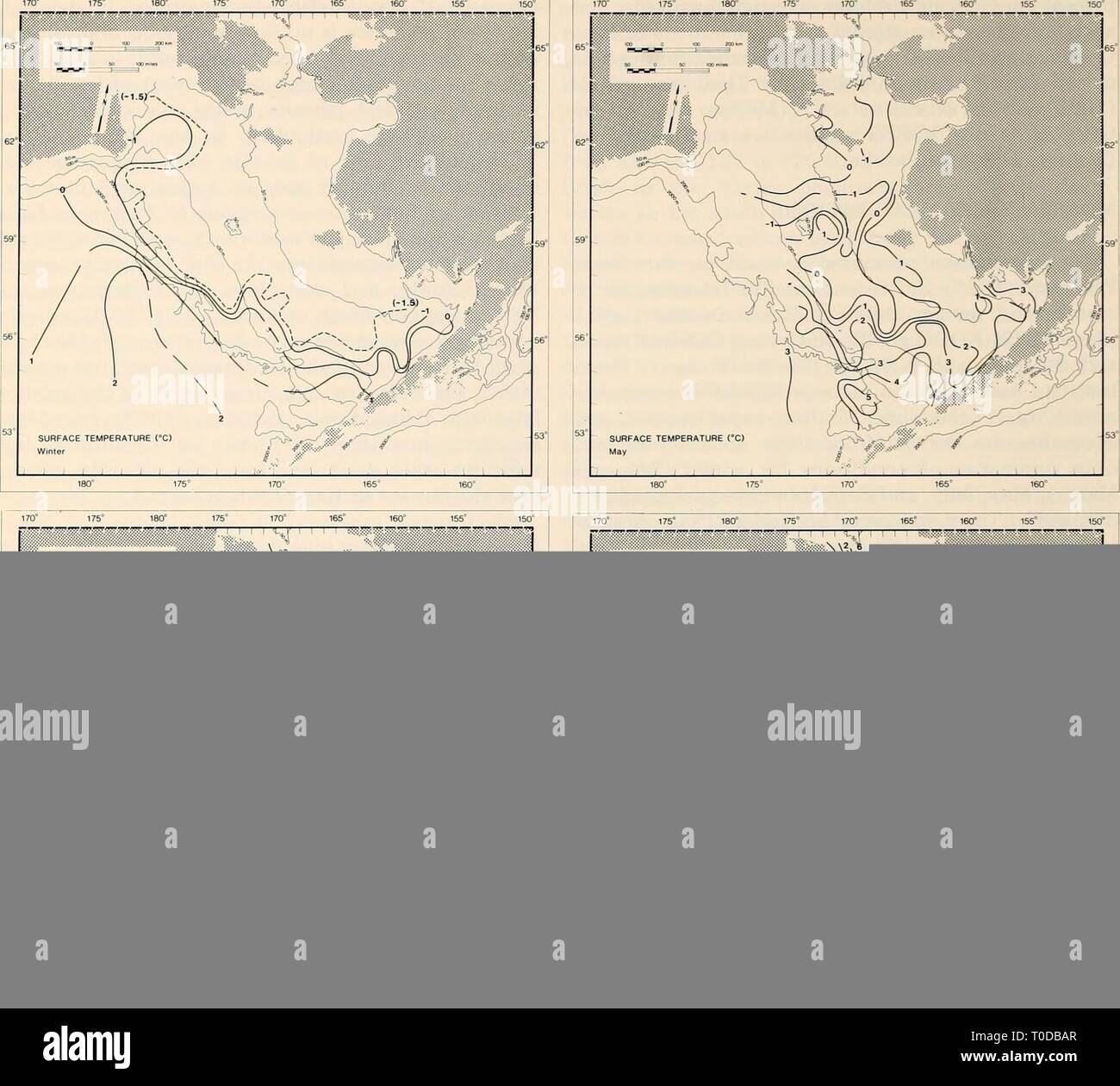 The Eastern Bering Sea Shelf Stock Photo - Alamy