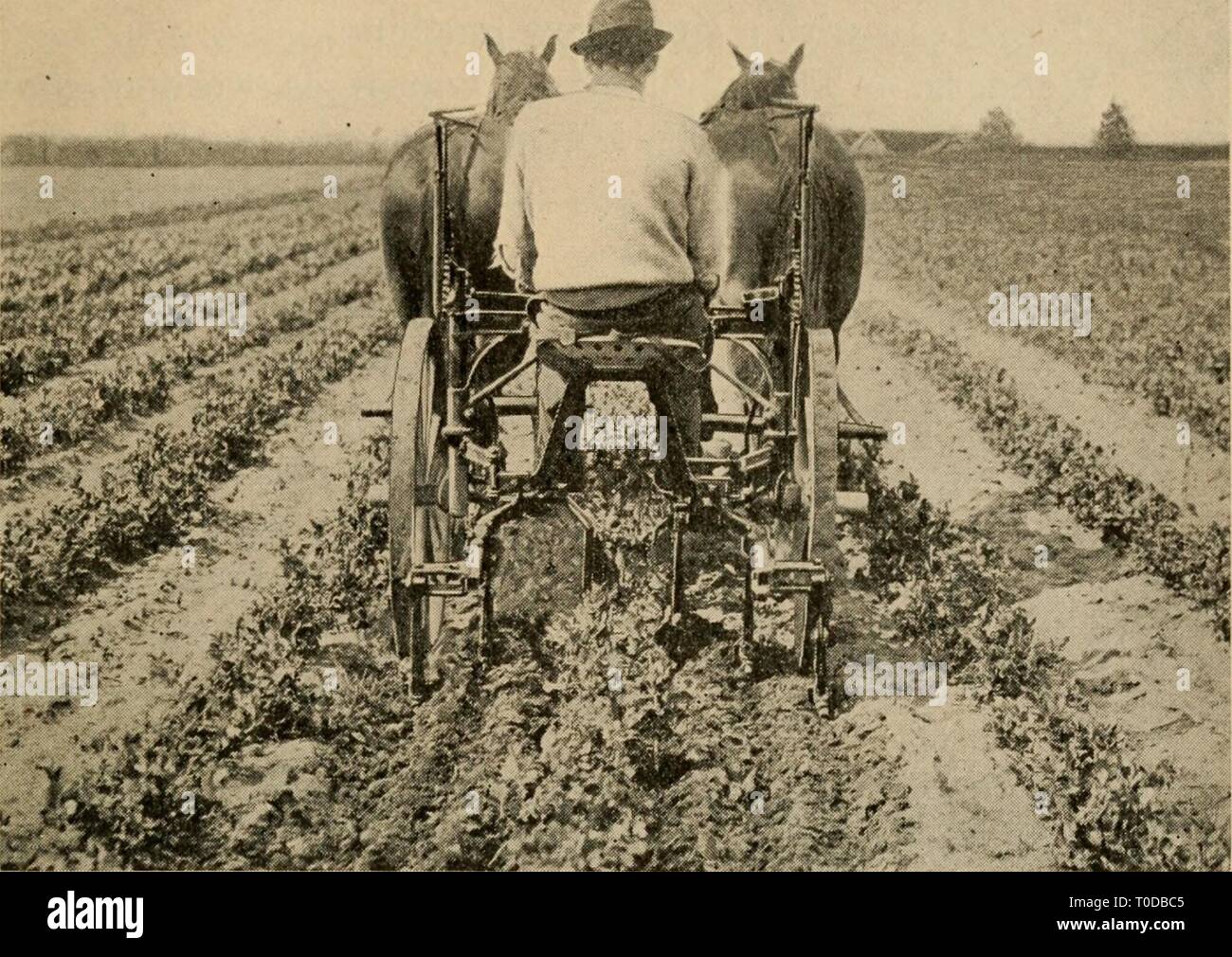 Effective farming; a text-book for Stock Photo - Alamy