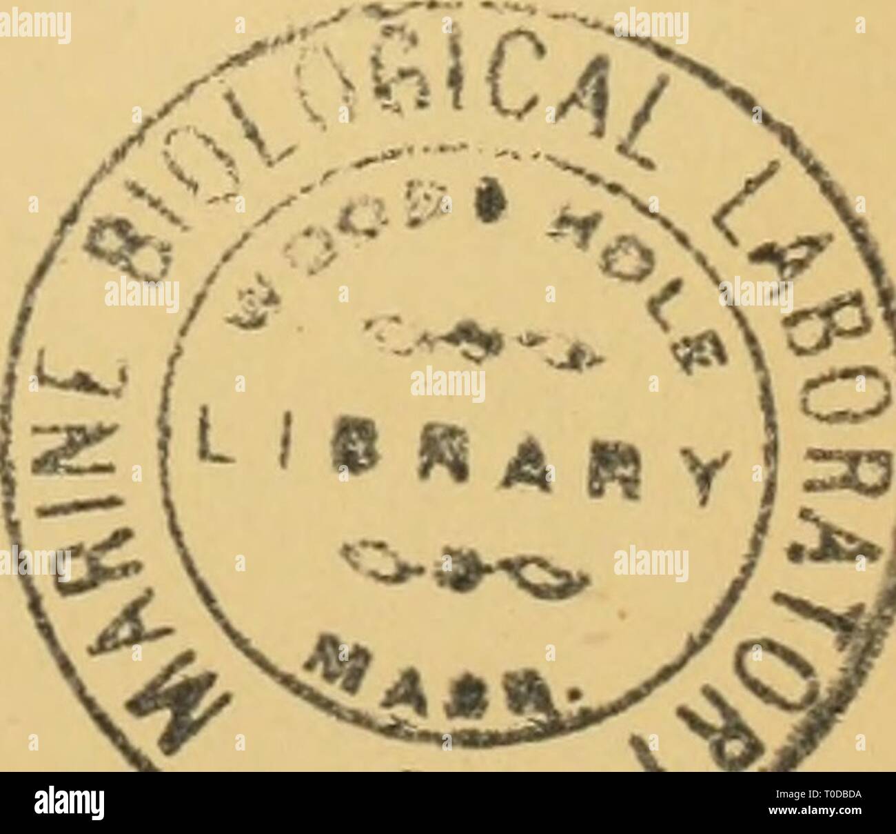 The effects of inanition and Stock Photo - Alamy