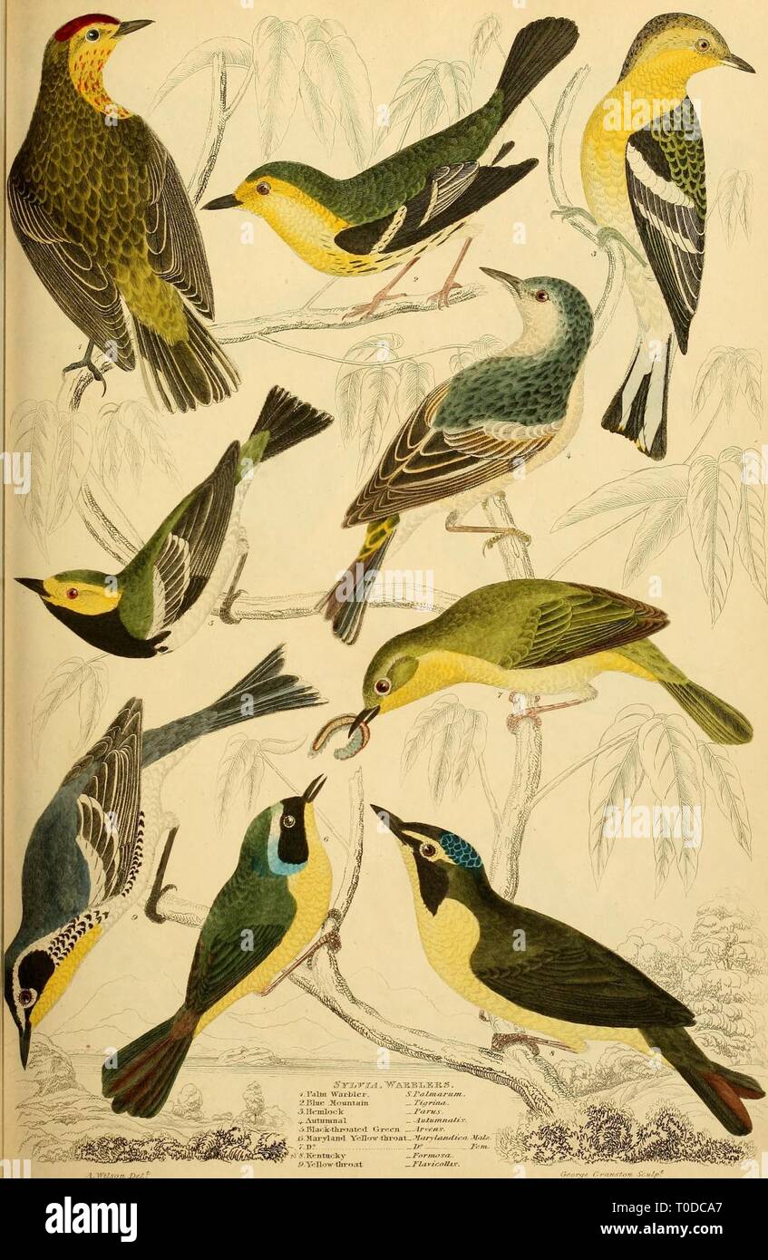 Edinburgh journal of natural history Edinburgh journal of natural ...