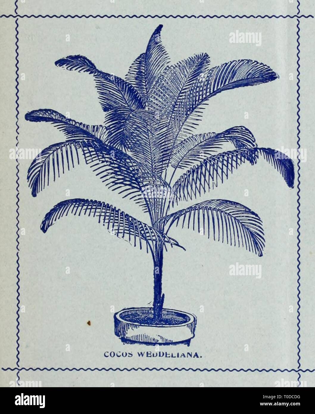 Seasor hi-res stock photography and images - Alamy