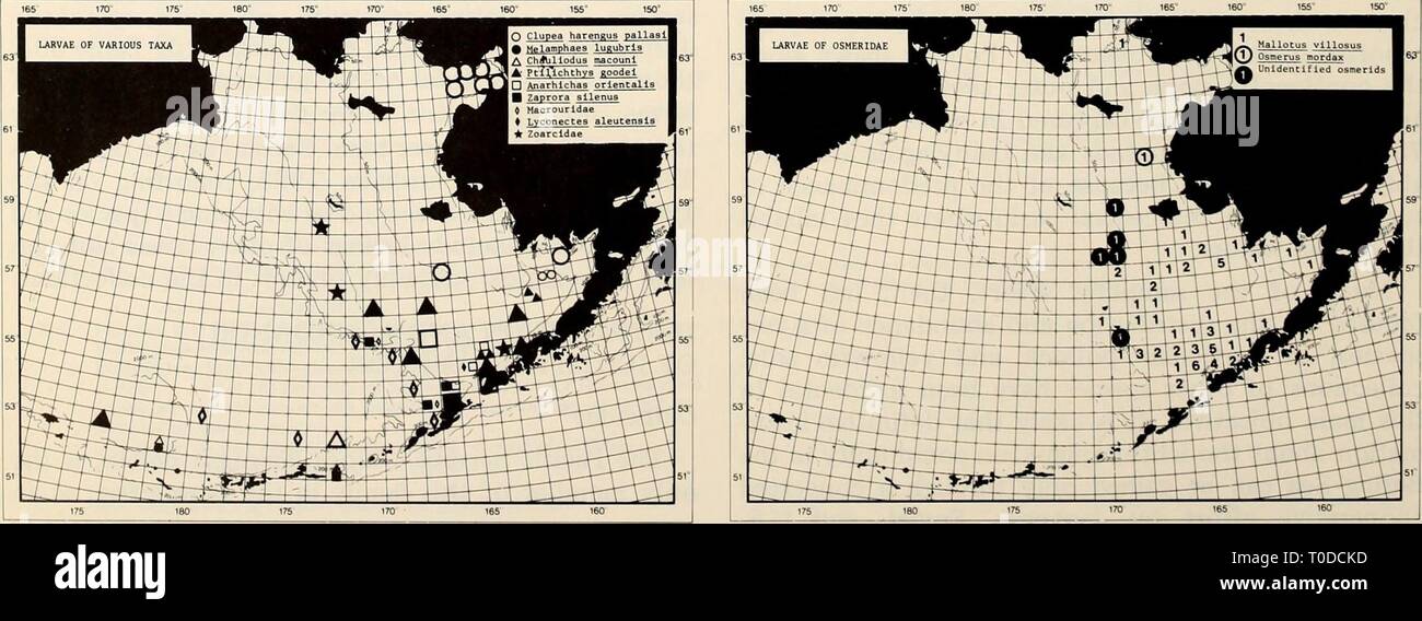 The Eastern Bering Sea Shelf Stock Photo - Alamy