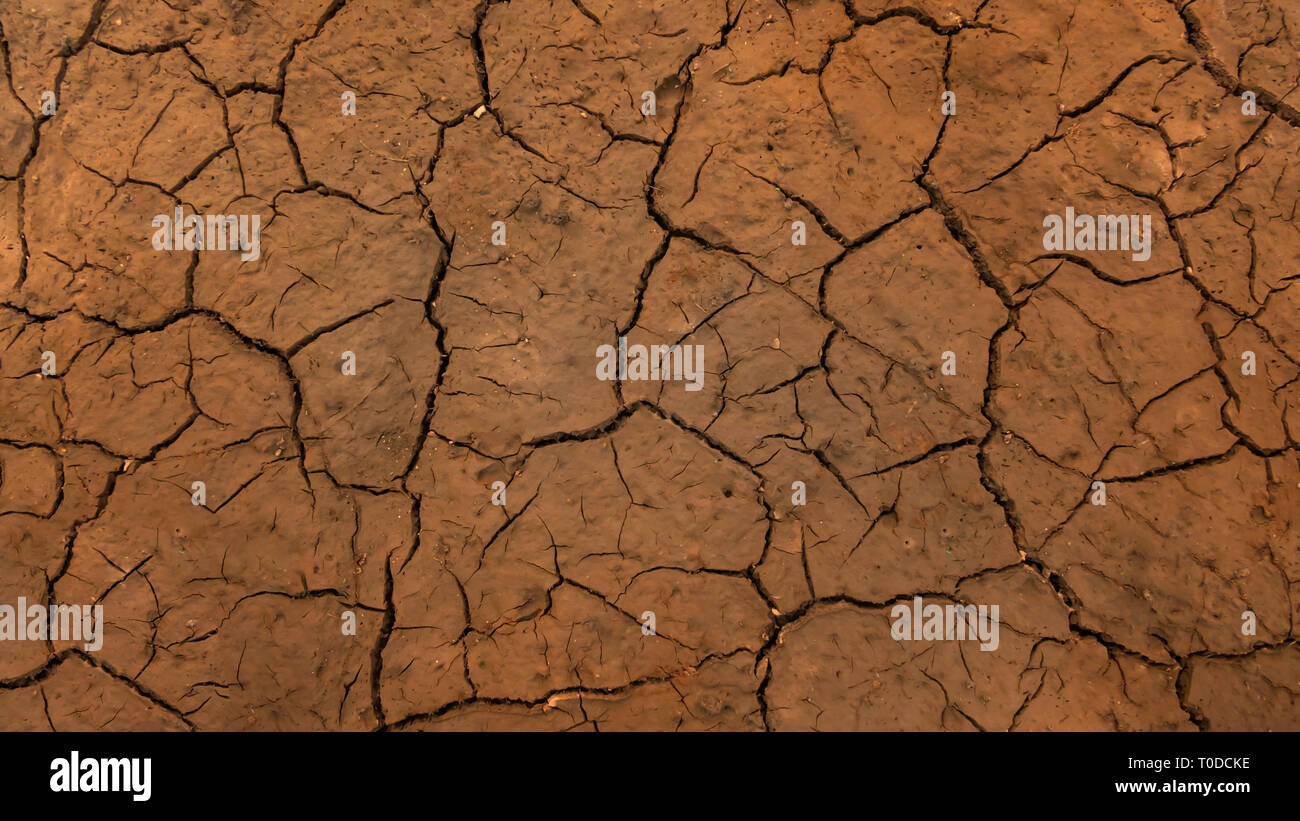 Texture of grunge dry cracking parched earth , Global warming effect ...