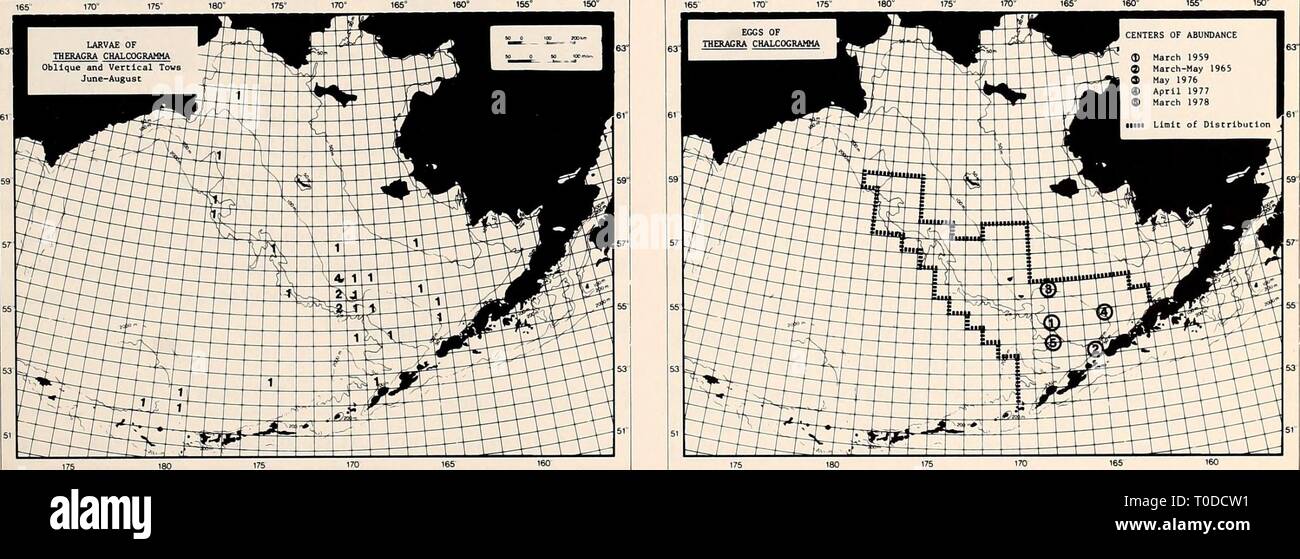 The Eastern Bering Sea Shelf Stock Photo - Alamy