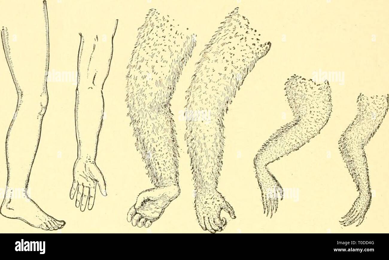 Organism Definition Biology