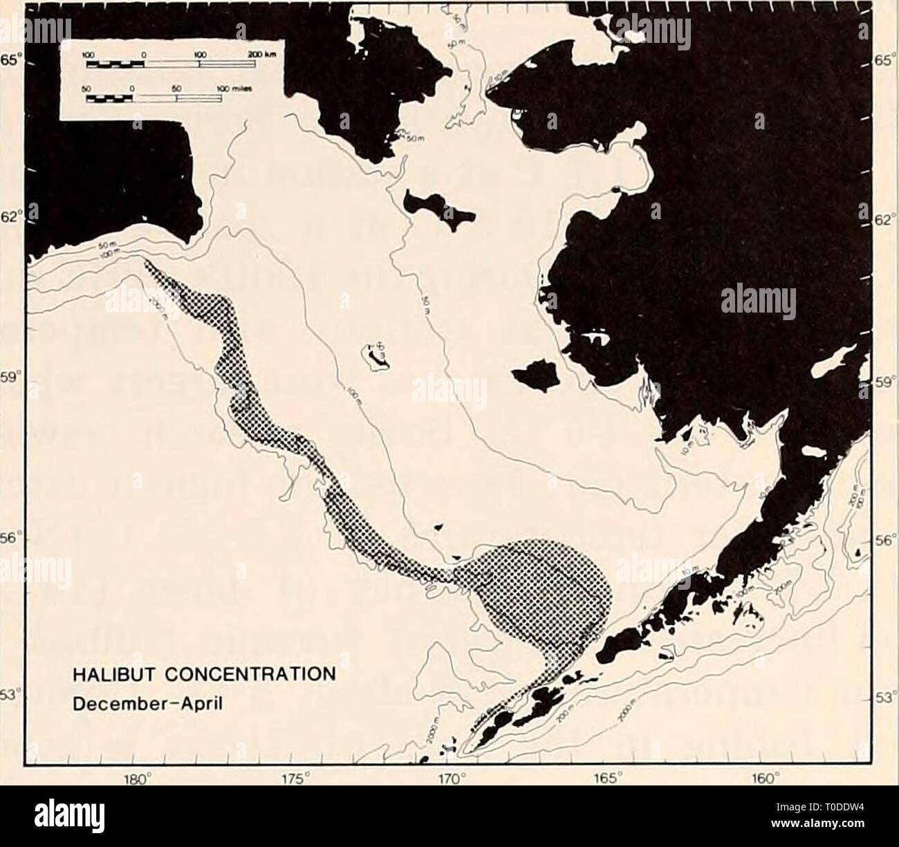 The Eastern Bering Sea Shelf Stock Photo - Alamy