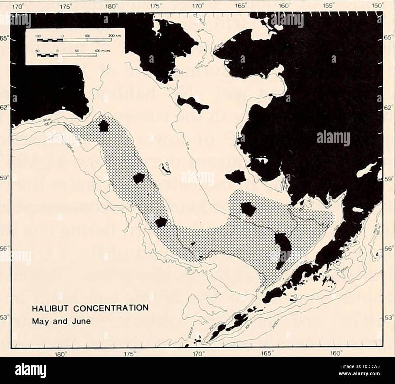 The Eastern Bering Sea Shelf Stock Photo - Alamy