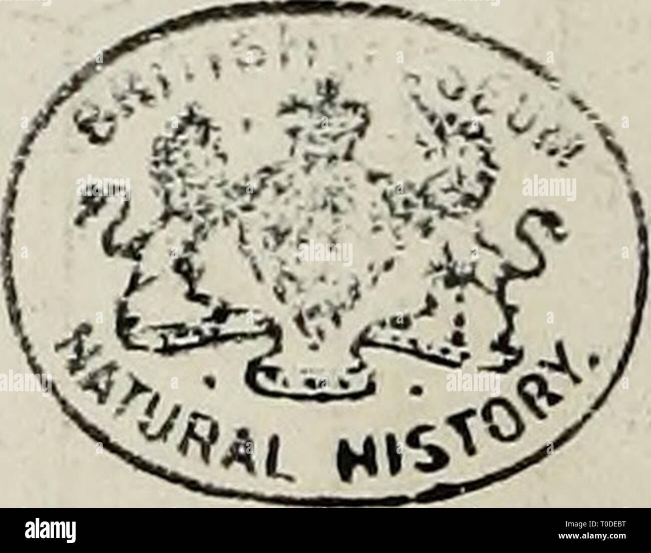 Edinburgh encyclopedia 1830 hi-res stock photography and images - Alamy