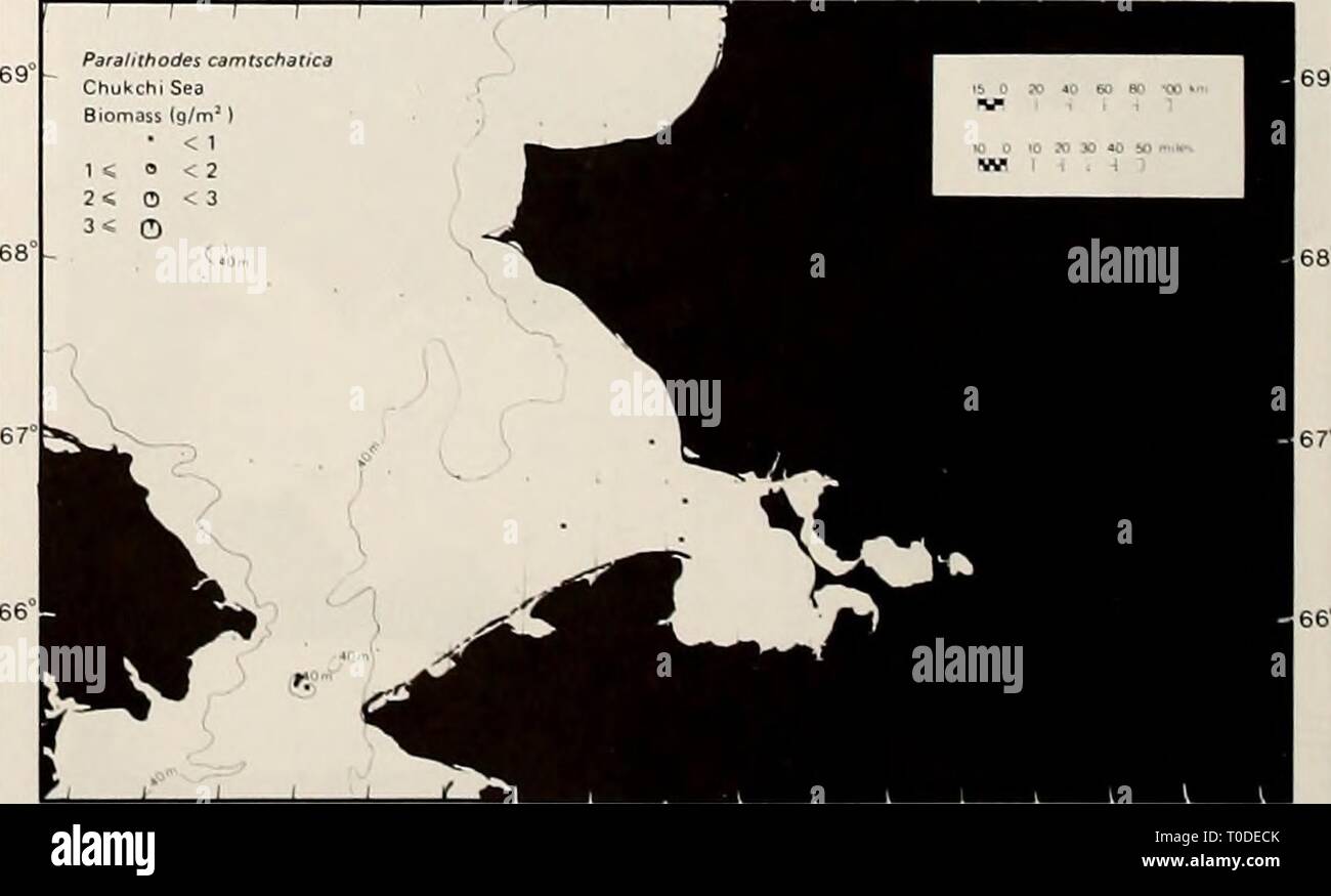 Paralithodes camtschatica hi-res stock photography and images - Alamy