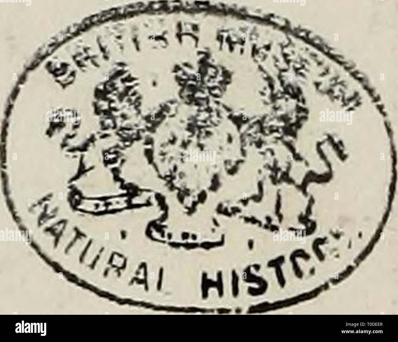 Edinburgh Encyclopedia (1830 Stock Photo - Alamy