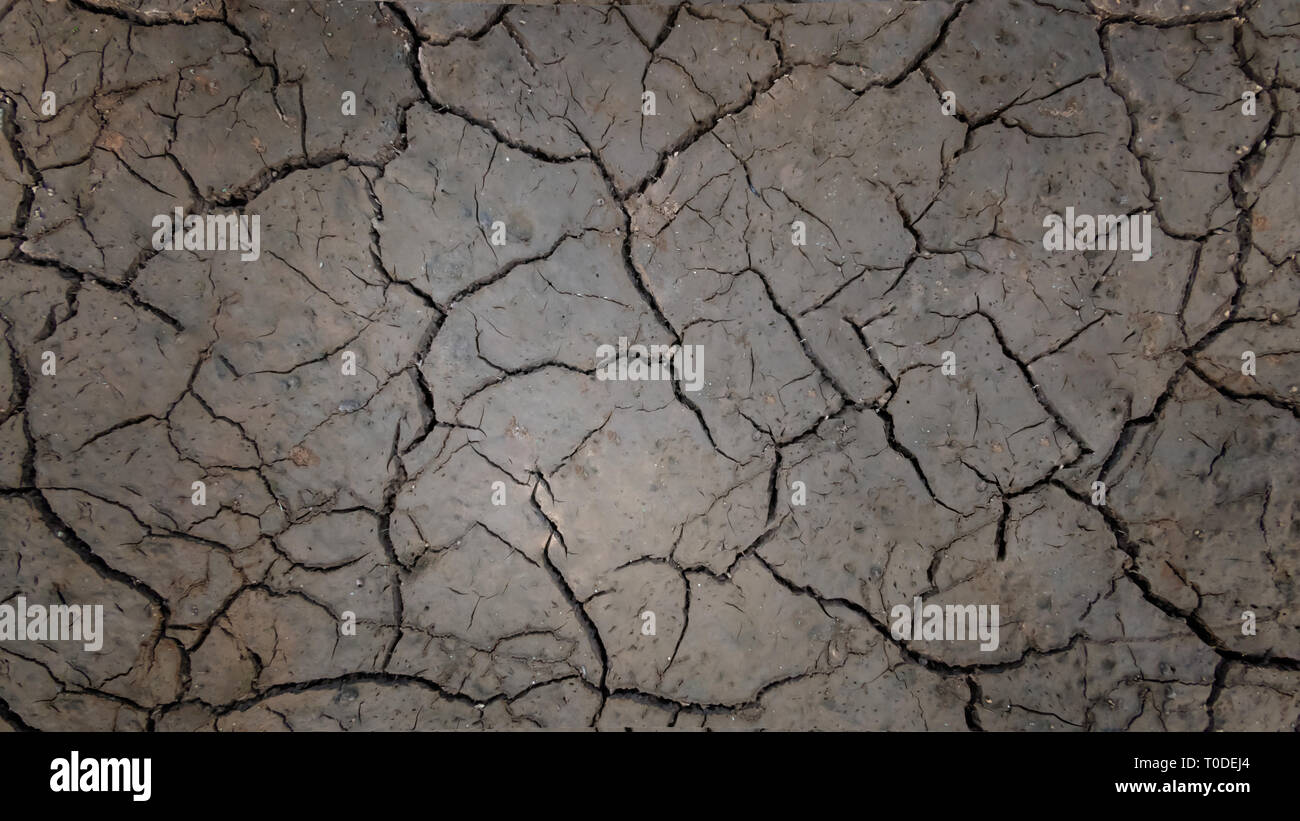Texture of grunge dry cracking parched earth , Global warming effect ...