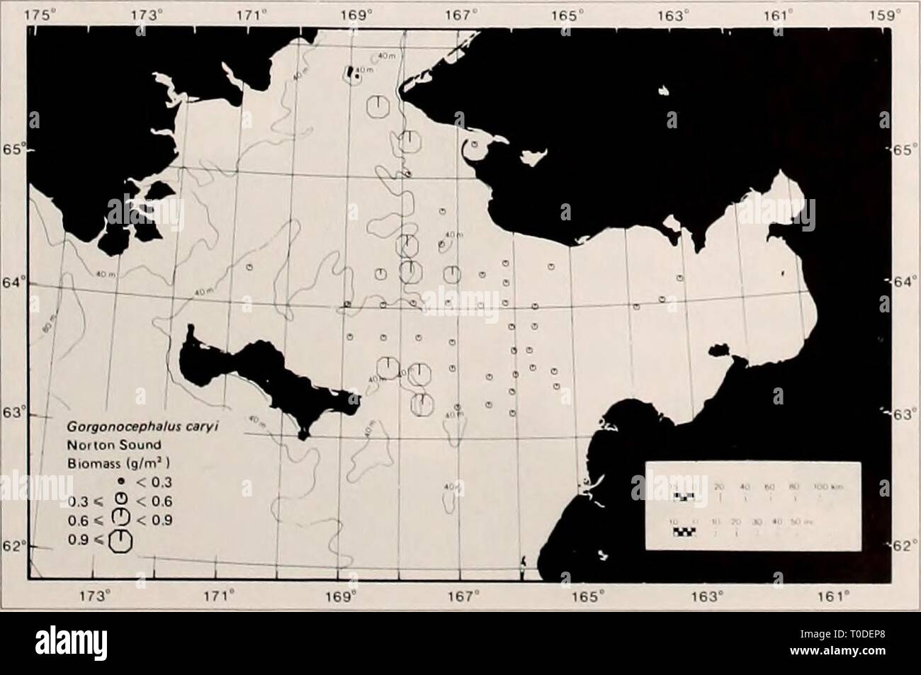 The Eastern Bering Sea Shelf Stock Photo - Alamy