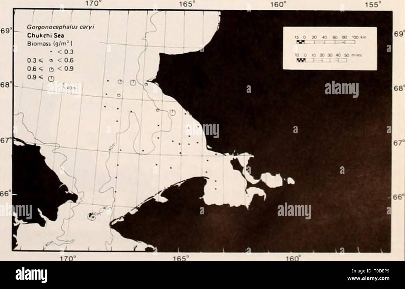 The Eastern Bering Sea Shelf Stock Photo - Alamy