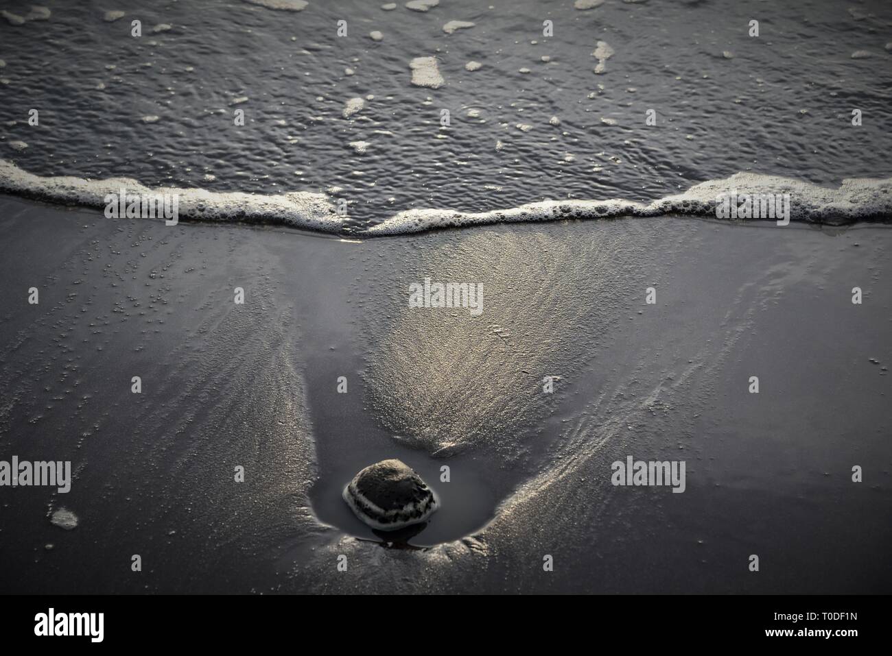 Stone and Surf, Surwada Beach, Valsad, Gujarat, India, Asia Stock Photo ...