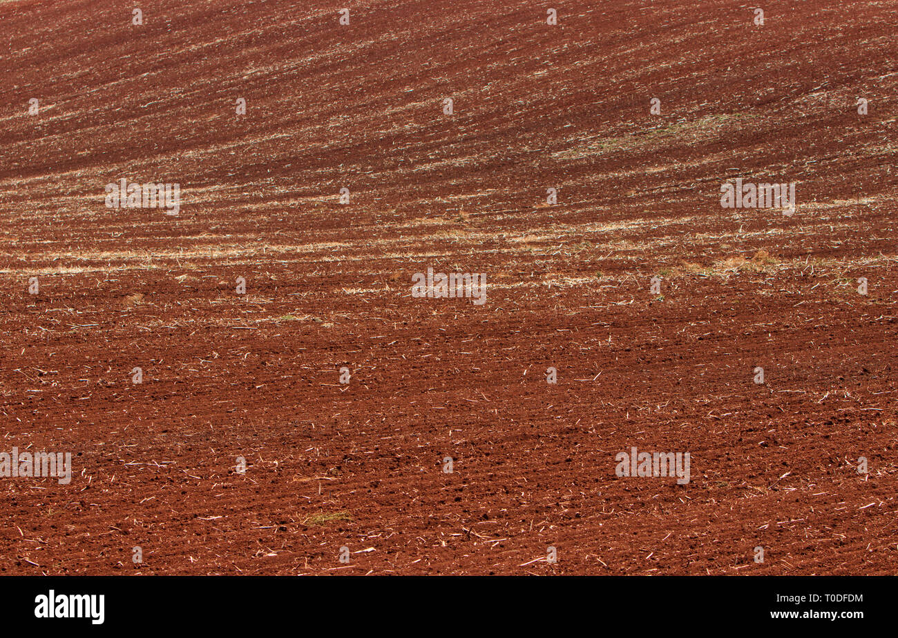 Freshly ploughed red soil rural farm paddock field background with copy ...