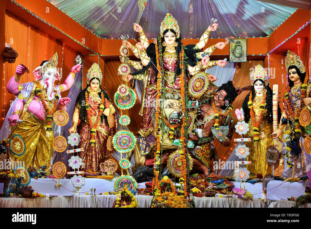 Navratri Celebration