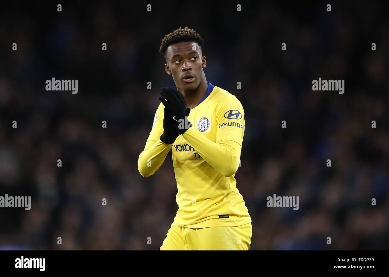 Callum Hudson-Odoi, Chelsea Stock Photo - Alamy