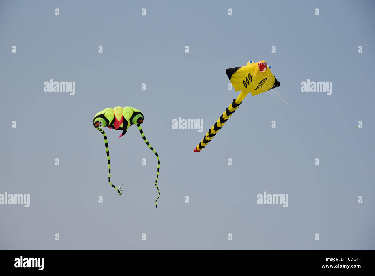 Kite like snake, International Kite Festival, Tithal, Valsad, Gujarat ...