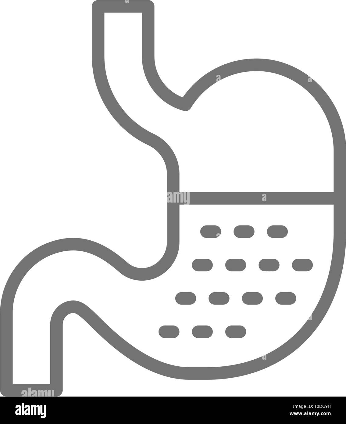 Stomach, human organ line icon Stock Vector Image & Art - Alamy