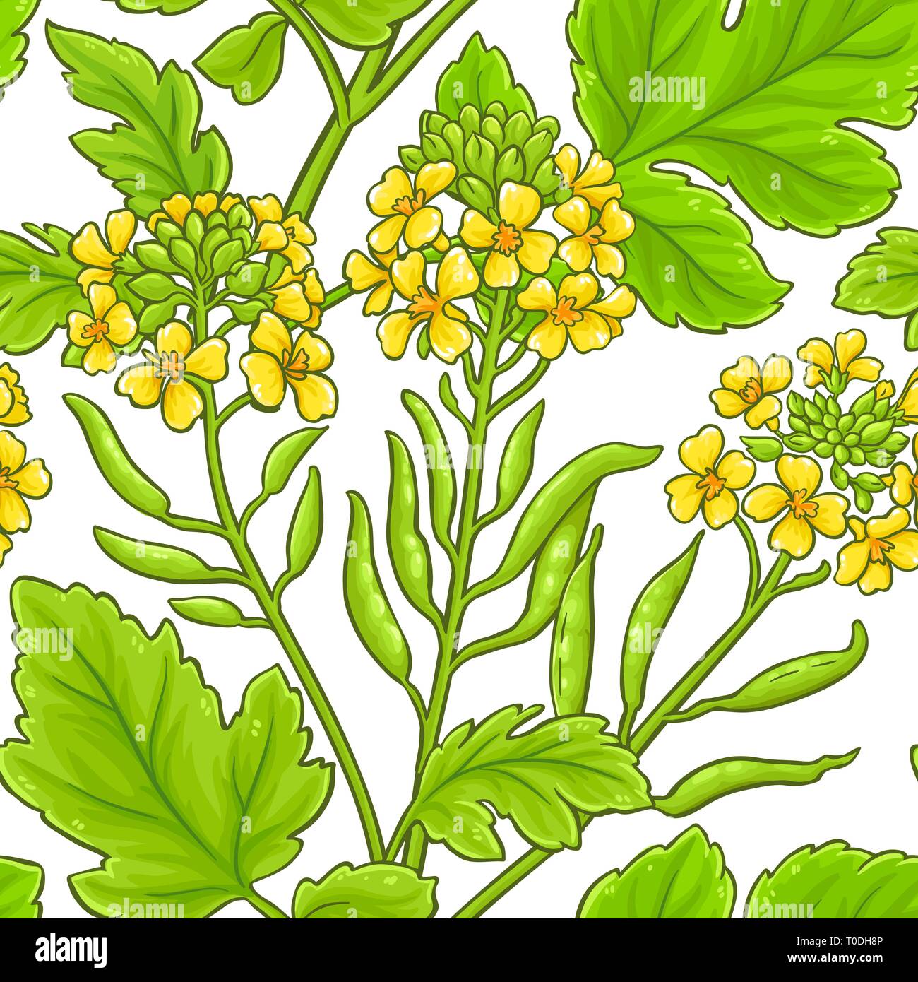 mustard vector pattern on white background Stock Vector Image & Art - Alamy