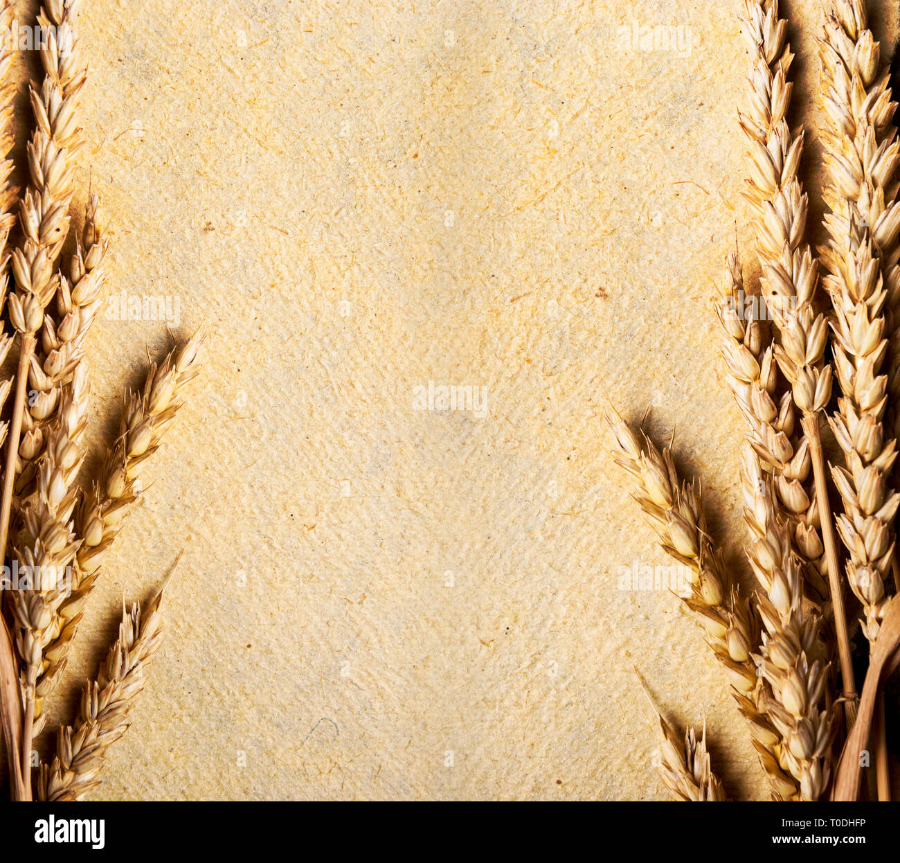 Wheat Border