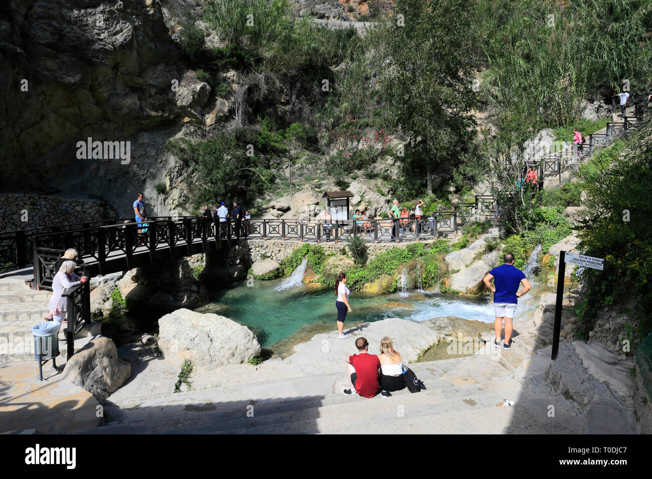 Callosa hi-res stock photography and images - Alamy