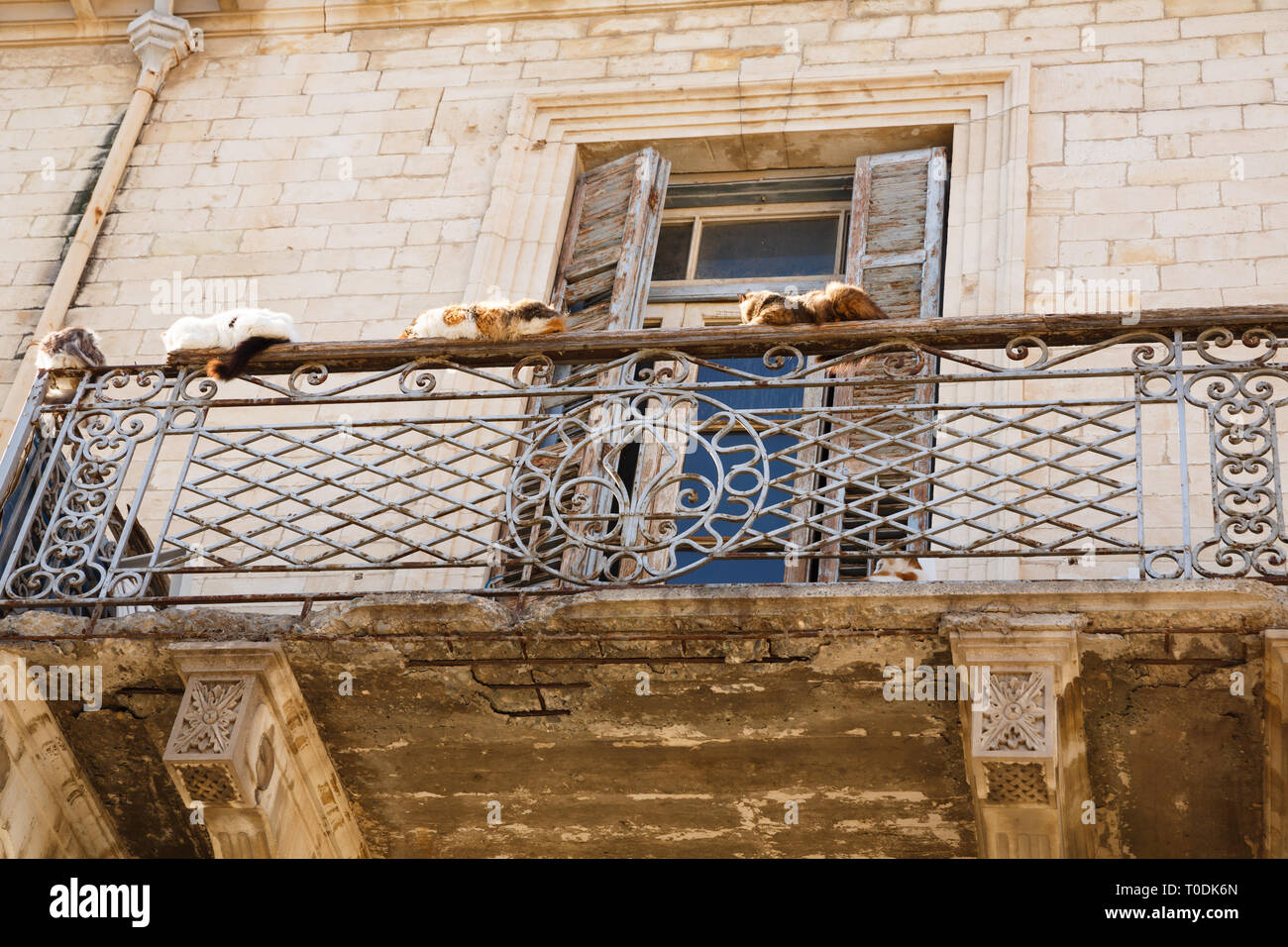 Old building with beautiful balcony and cats in Limassol, Cyprus Stock ...