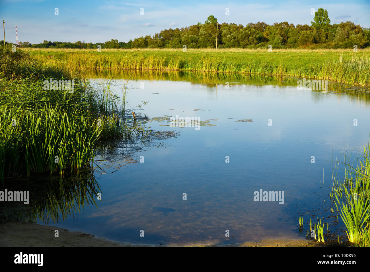 Rural russian landscape hi-res stock photography and images - Alamy