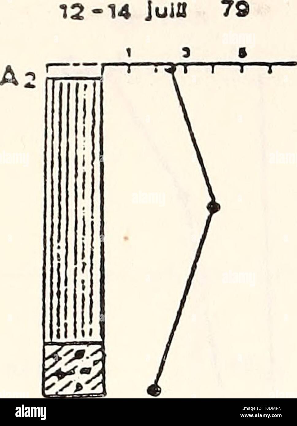 Ecological study of the Amoco Stock Photo - Alamy