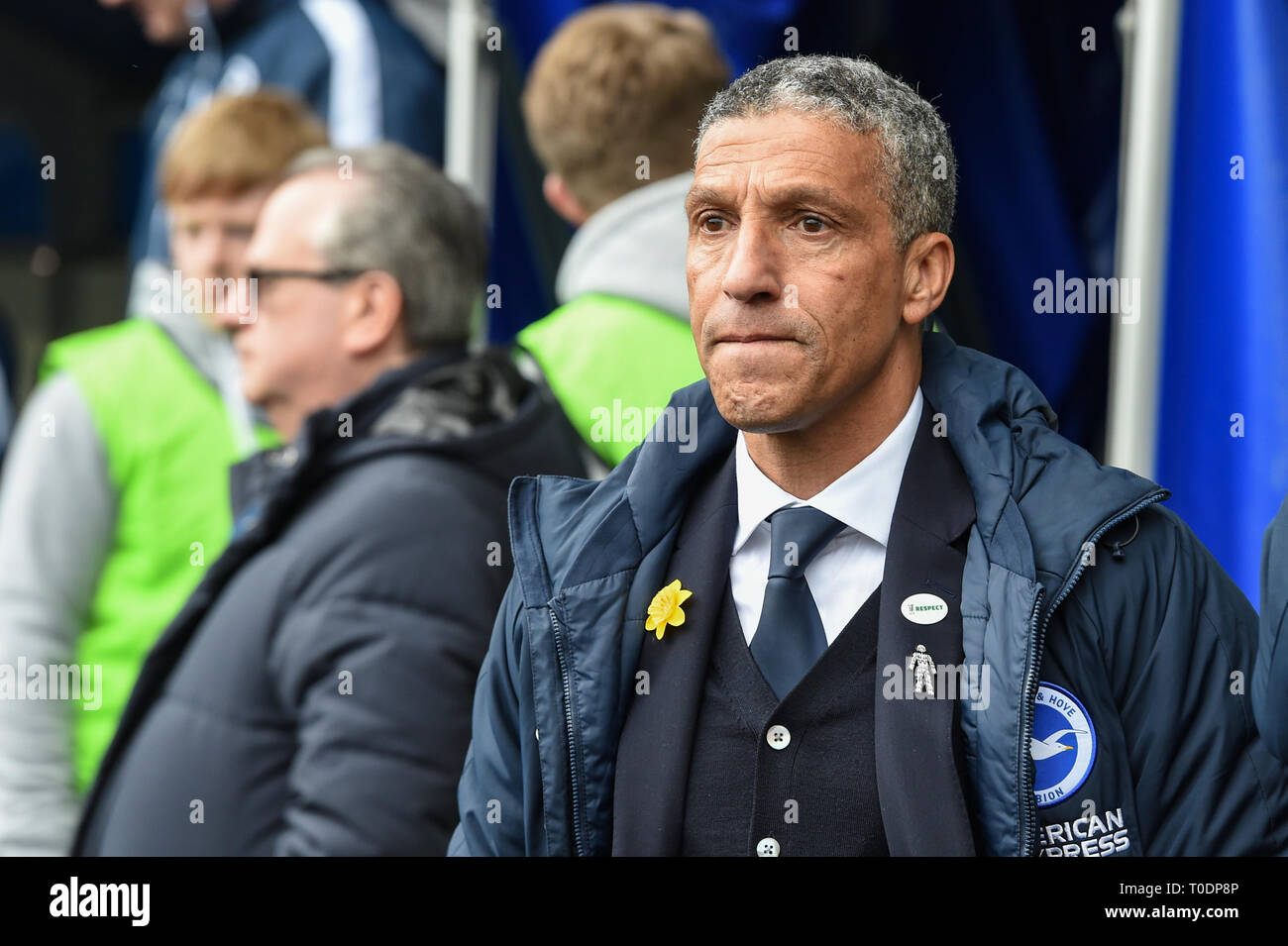 Brighton and hove albion manager chris hughton hi-res stock photography ...