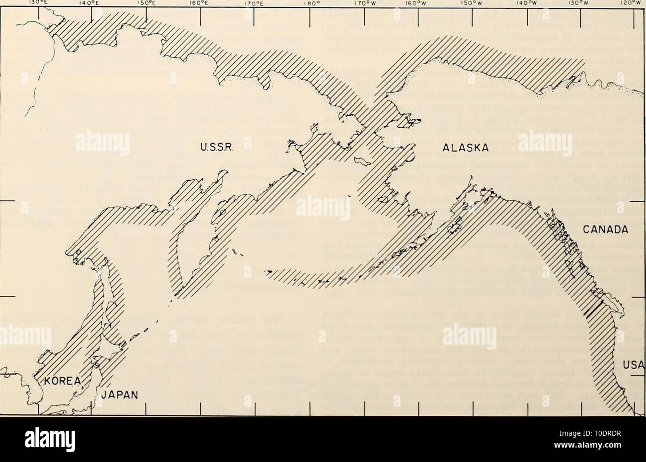 The Eastern Bering Sea Shelf Stock Photo - Alamy