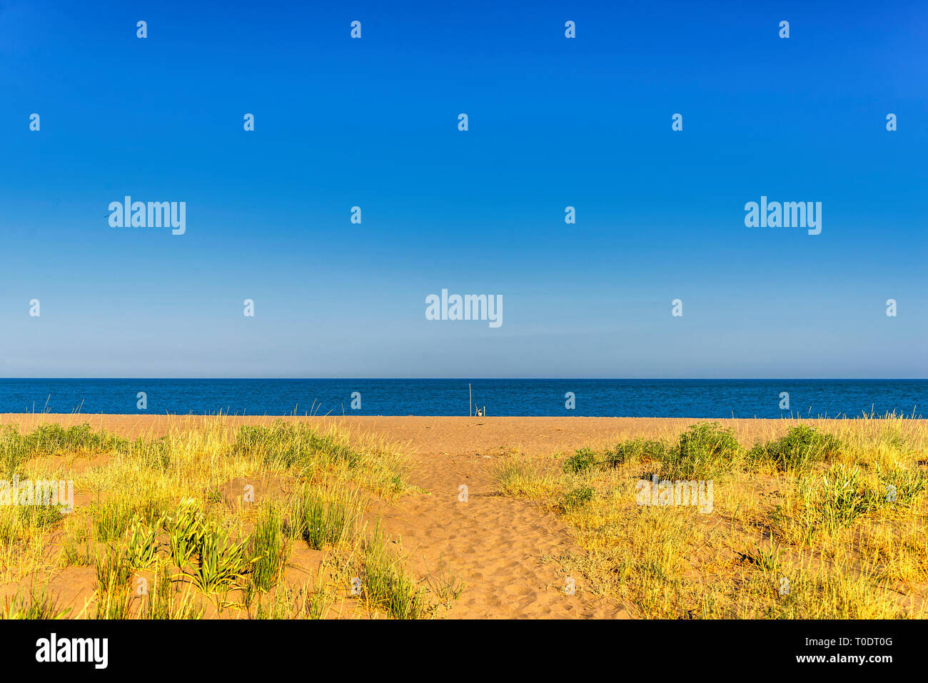 view of the Policoro beach in Basilicata in a summer afternoon Stock ...